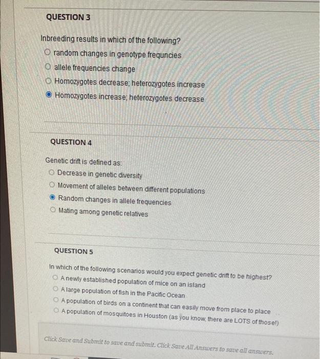Solved Inbreeding results in which of the following? random | Chegg.com