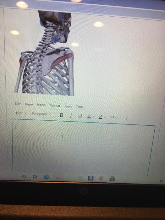 Solved Edit View Insert Format Tools Table 12pt Paragraph в | Chegg.com