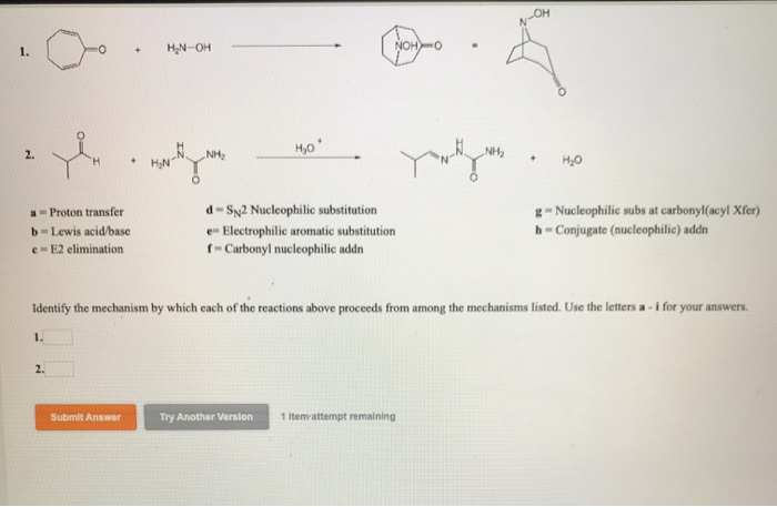 Solved O + HN-OH H2O NH2 430* Yahy N . Ho + H2O a Proton | Chegg.com