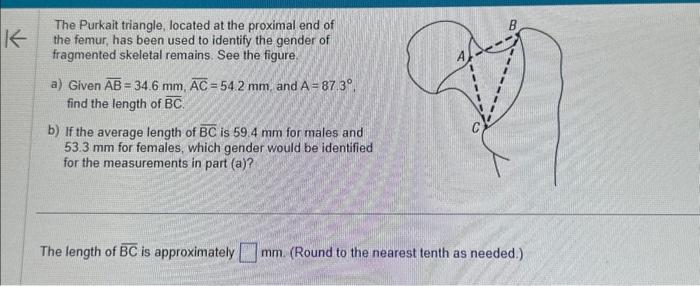 Solved The Purkait triangle, located at the proximal end of | Chegg.com