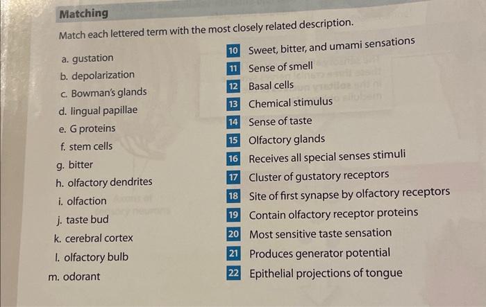 Solved Matching Match each lettered term with the most | Chegg.com