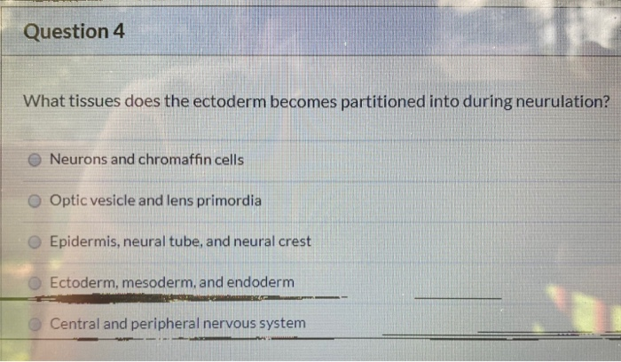 Solved Question 4 What tissues does the ectoderm becomes | Chegg.com