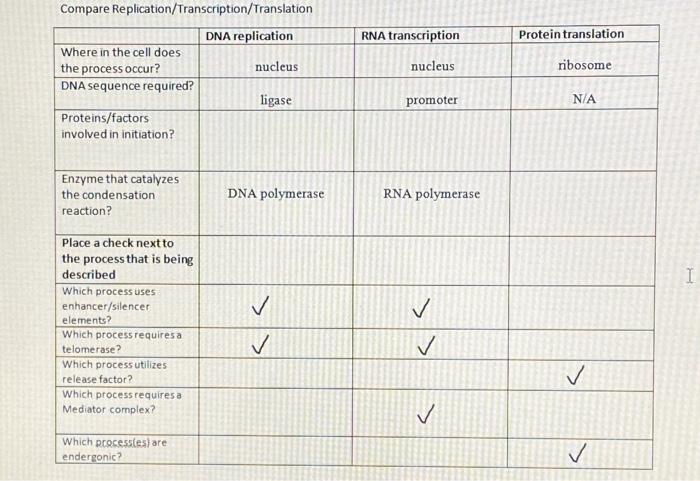 Solved RNA transcription Protein translation Compare | Chegg.com