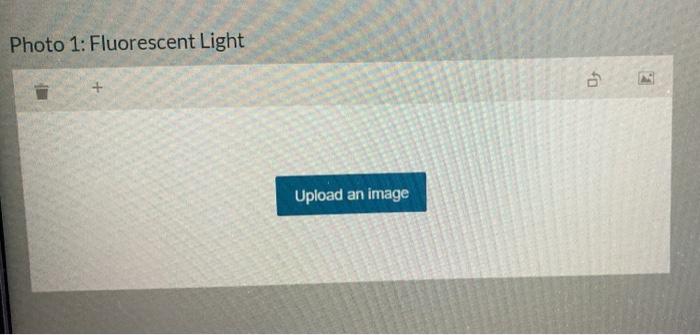 Solved Data Table 1: Light Sources Light Source Fluorescent | Chegg.com