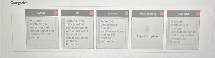 Solved they need to be sorted into the following categories! | Chegg.com