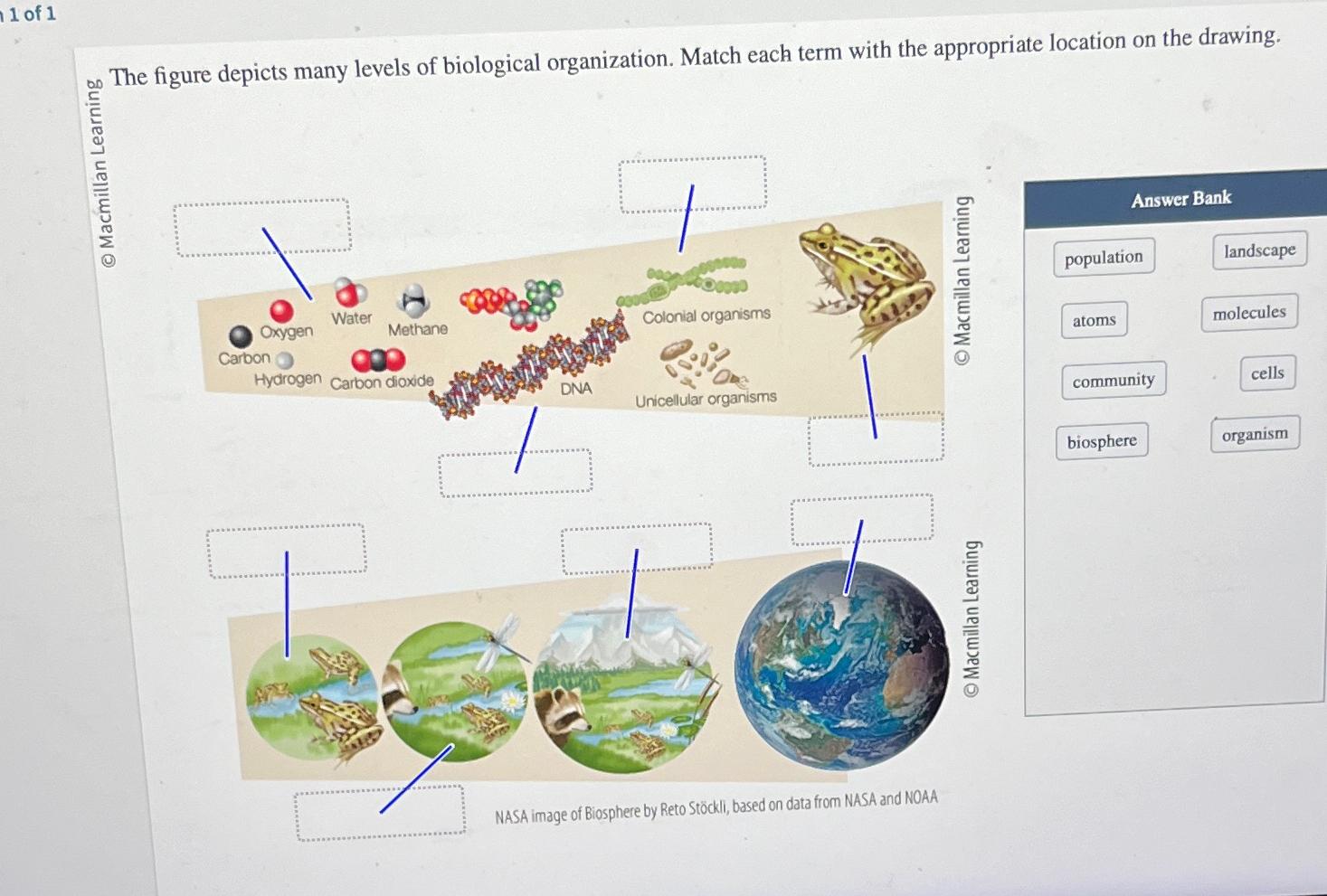 Solved 1 ﻿of 1The figure depicts many levels of biological | Chegg.com