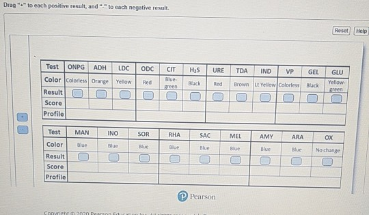 Drag "to Each Positive Result, And To Each Negativ... | Chegg.com