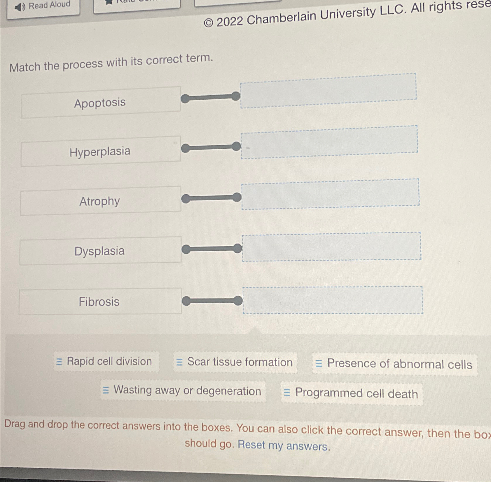 Solved Read Aloud(C) 2022 ﻿Chamberlain University LLC. ﻿All | Chegg.com