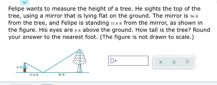 Solved Felipe wants to measure the height of a tree. He | Chegg.com