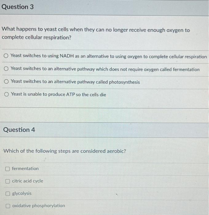 Solved What happens to yeast cells when they can no longer | Chegg.com
