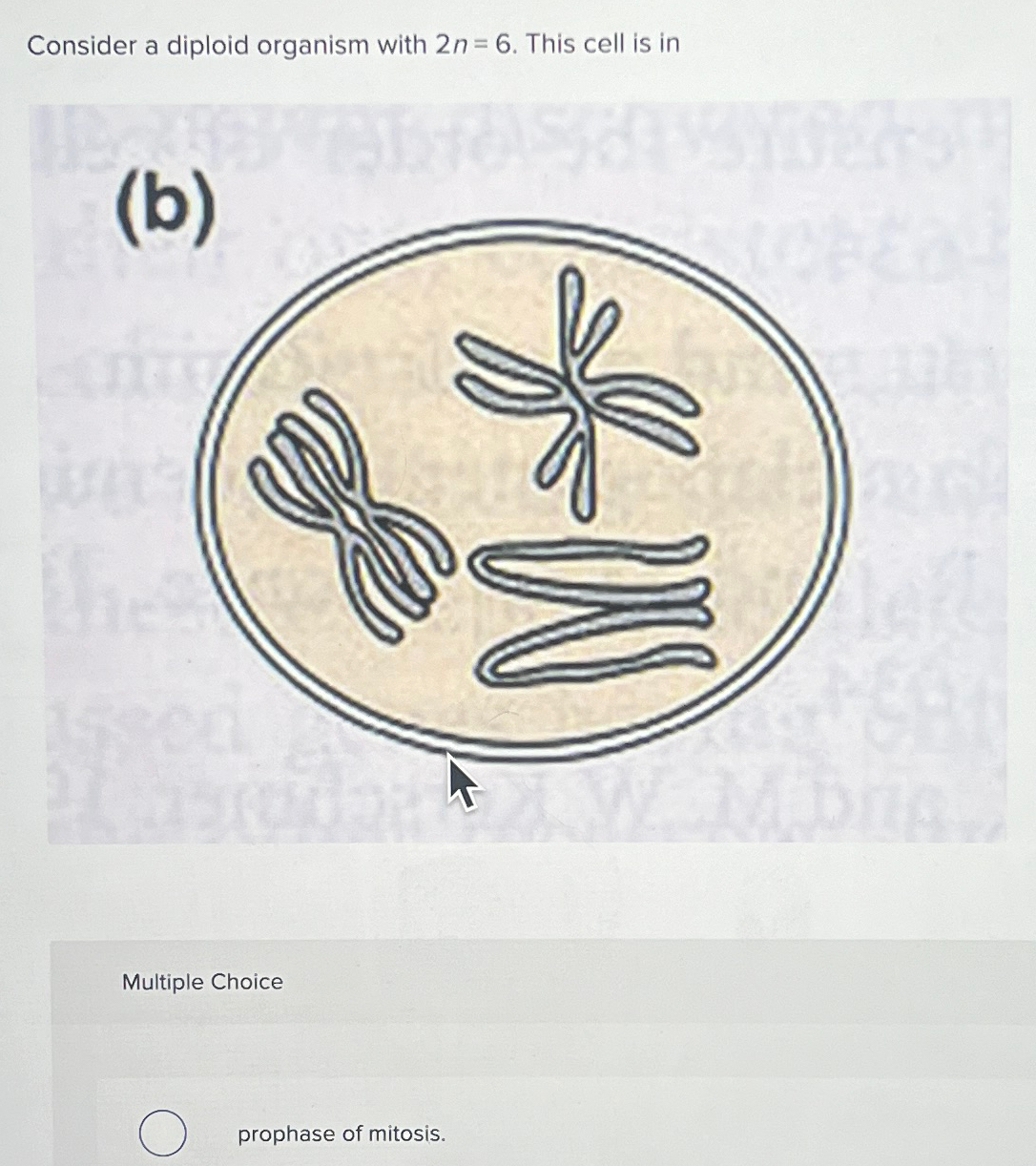 Solved Consider a diploid organism with 2n=6. ﻿This cell is | Chegg.com