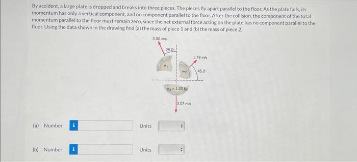 By accident. a large plate is dropped and breaks into | Chegg.com