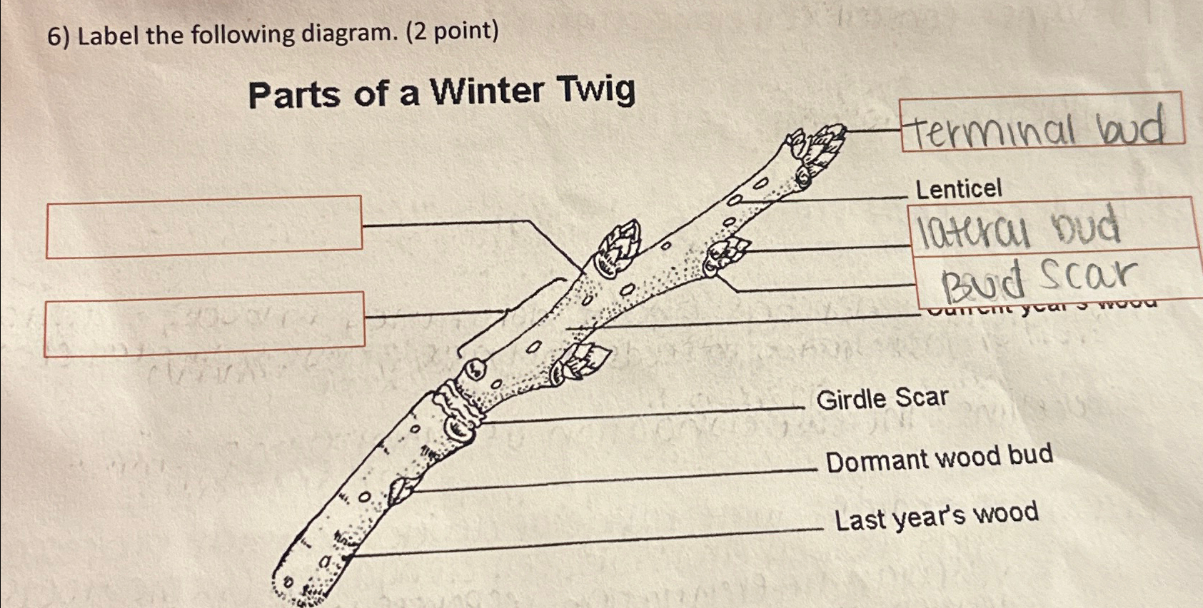 Solved Label the following diagram. (2 point)Parts of a | Chegg.com Solved Label the following diagram. (2 point)Parts of a | Chegg.com