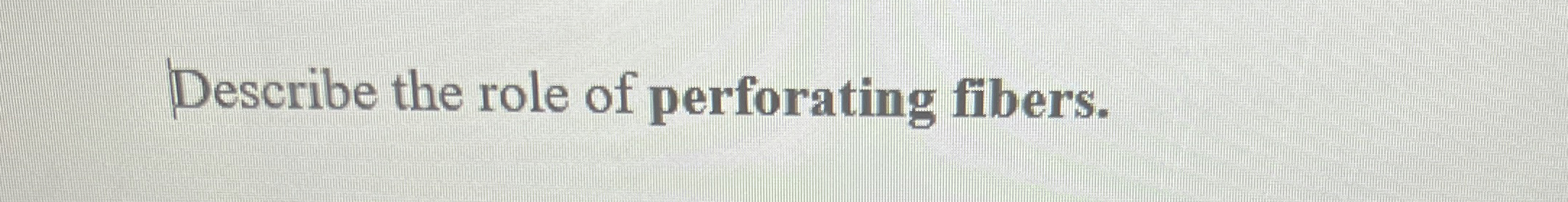Solved Describe the role of perforating fibers in the bone | Chegg.com