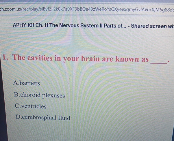 Solved APHY 101 ﻿Ch. 11 ﻿The Nervous System II Parts of... - | Chegg.com