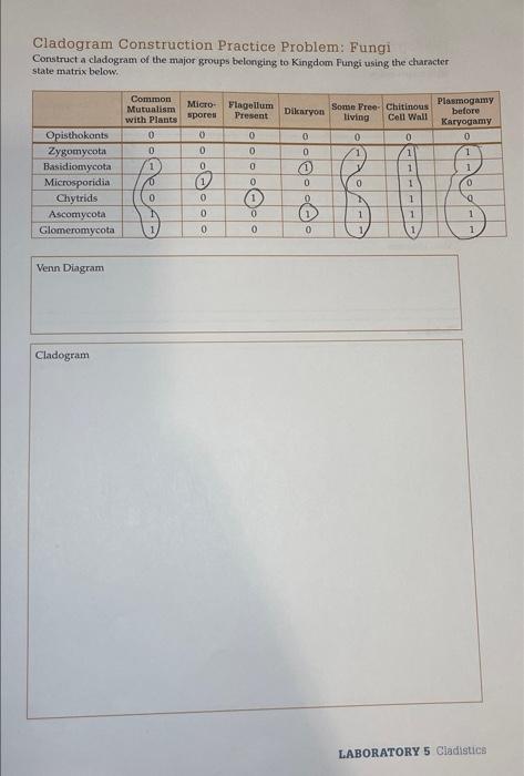 Solved Construct a cladogram of the major groups belonging | Chegg.com