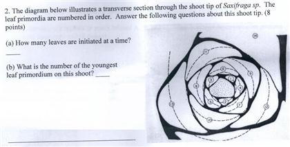The diagram below illustrates a transverse section | Chegg.com