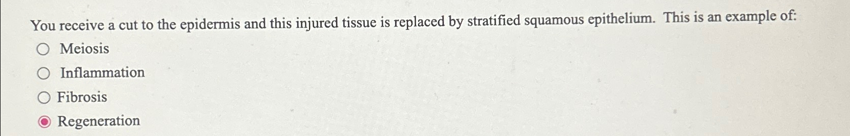 Solved You receive a cut to the epidermis and this injured | Chegg.com