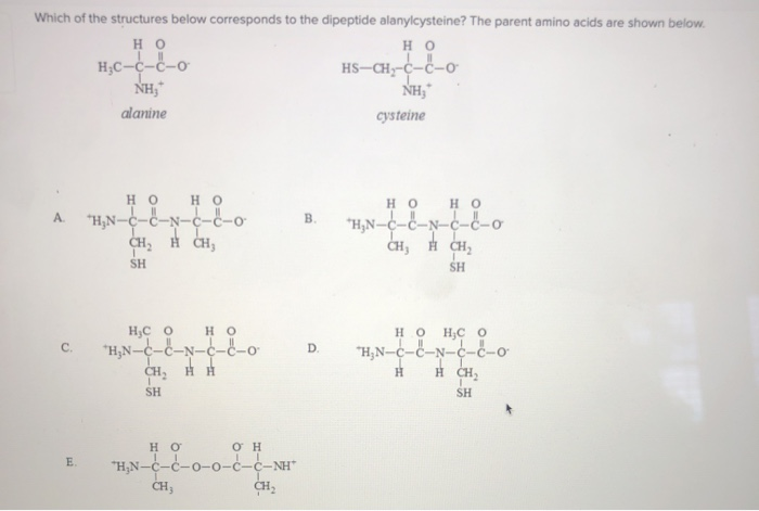 Solved Which Of The Following Polymers Has A Syndiotactic