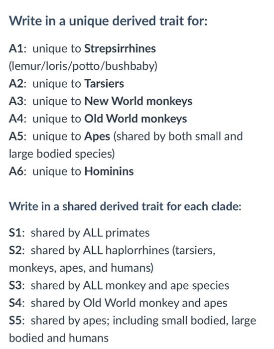 PRIMATE PHYLOGENETIC TREE Unique and Shared Derived | Chegg.com