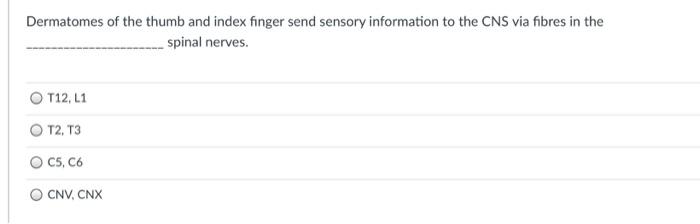 Solved Dermatomes of the thumb and index finger send sensory | Chegg.com