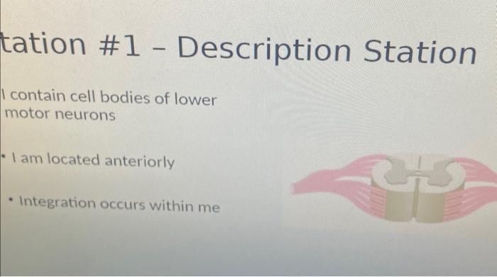 Solved tation \#1 - Description Station I contain cell | Chegg.com