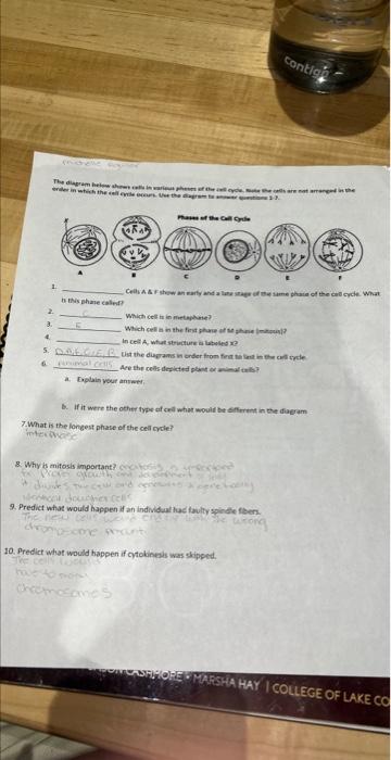 Solved 1. to this bharie caliner? 2. Which cels in in | Chegg.com