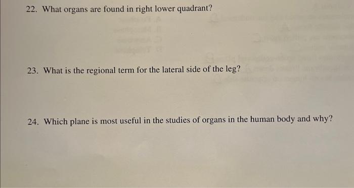 Solved 22. What organs are found in right lower quadrant? | Chegg.com
