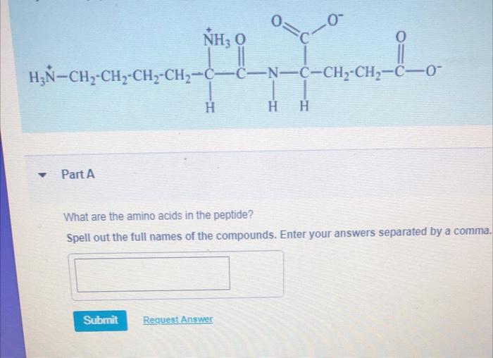 Solved What are the amino acids in the peptide? Spell out | Chegg.com