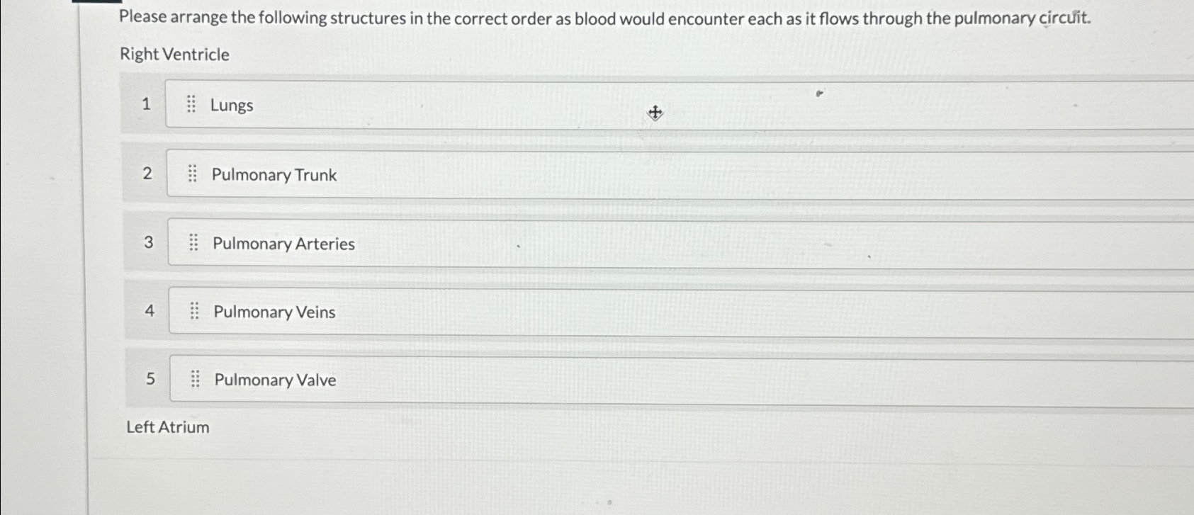 Solved Please arrange the following structures in the | Chegg.com