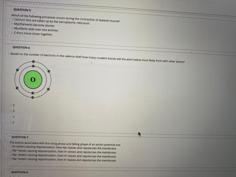Solved QUESTION 5 Which of the following processes occurs | Chegg.com