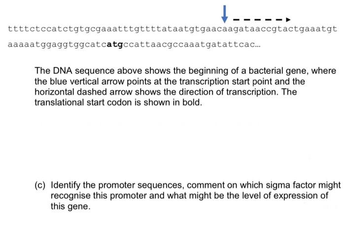 Solved what promoter sequences/ what sigma facrot can | Chegg.com