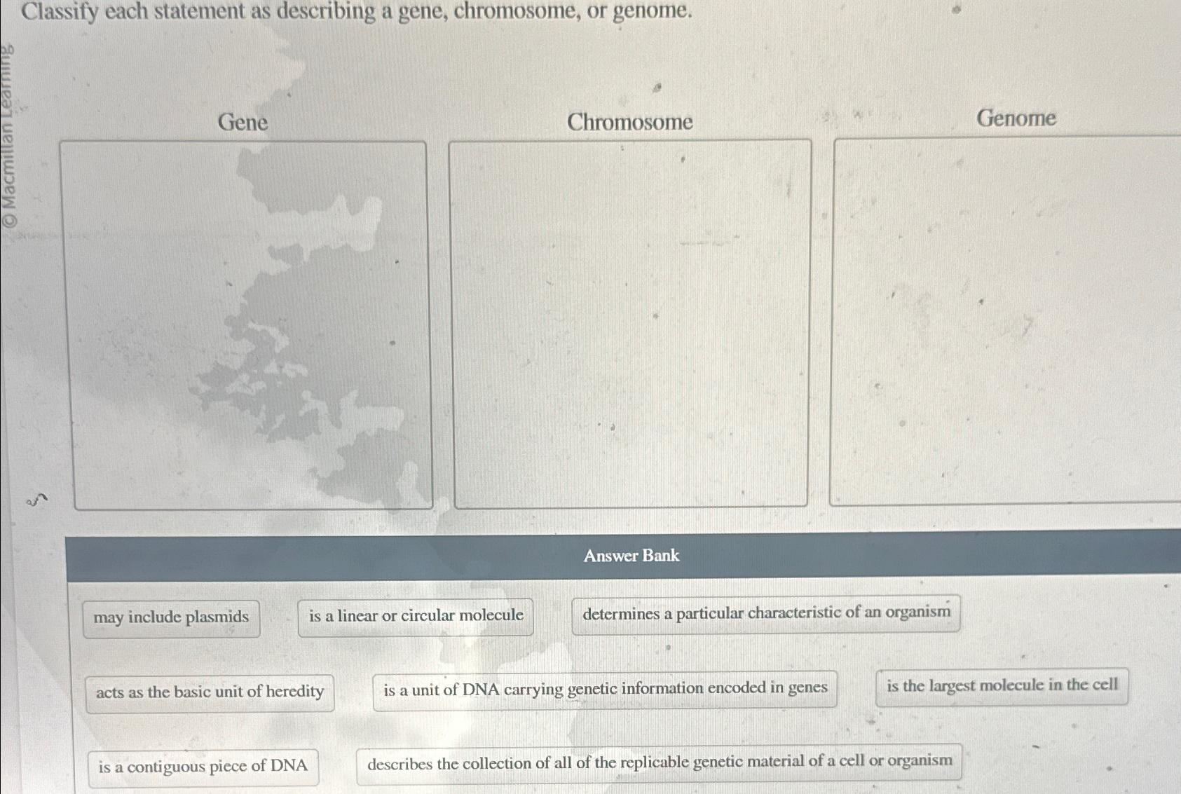Solved Classify each statement as describing a gene, | Chegg.com