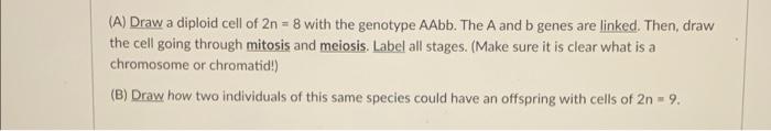 Solved (A) Draw a diploid cell of 2n = 8 with the genotype | Chegg.com