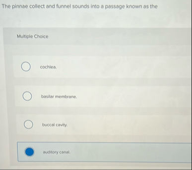 Solved The pinnae collect and funnel sounds into a passage | Chegg.com