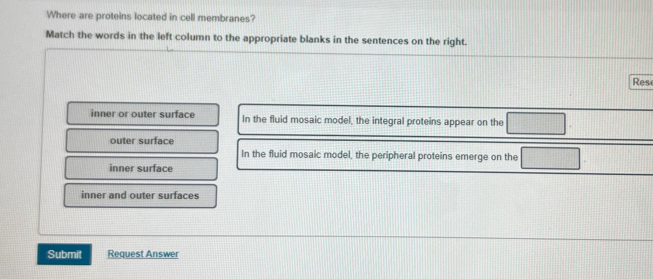 Solved Where are proteins located in cell membranes?Match | Chegg.com