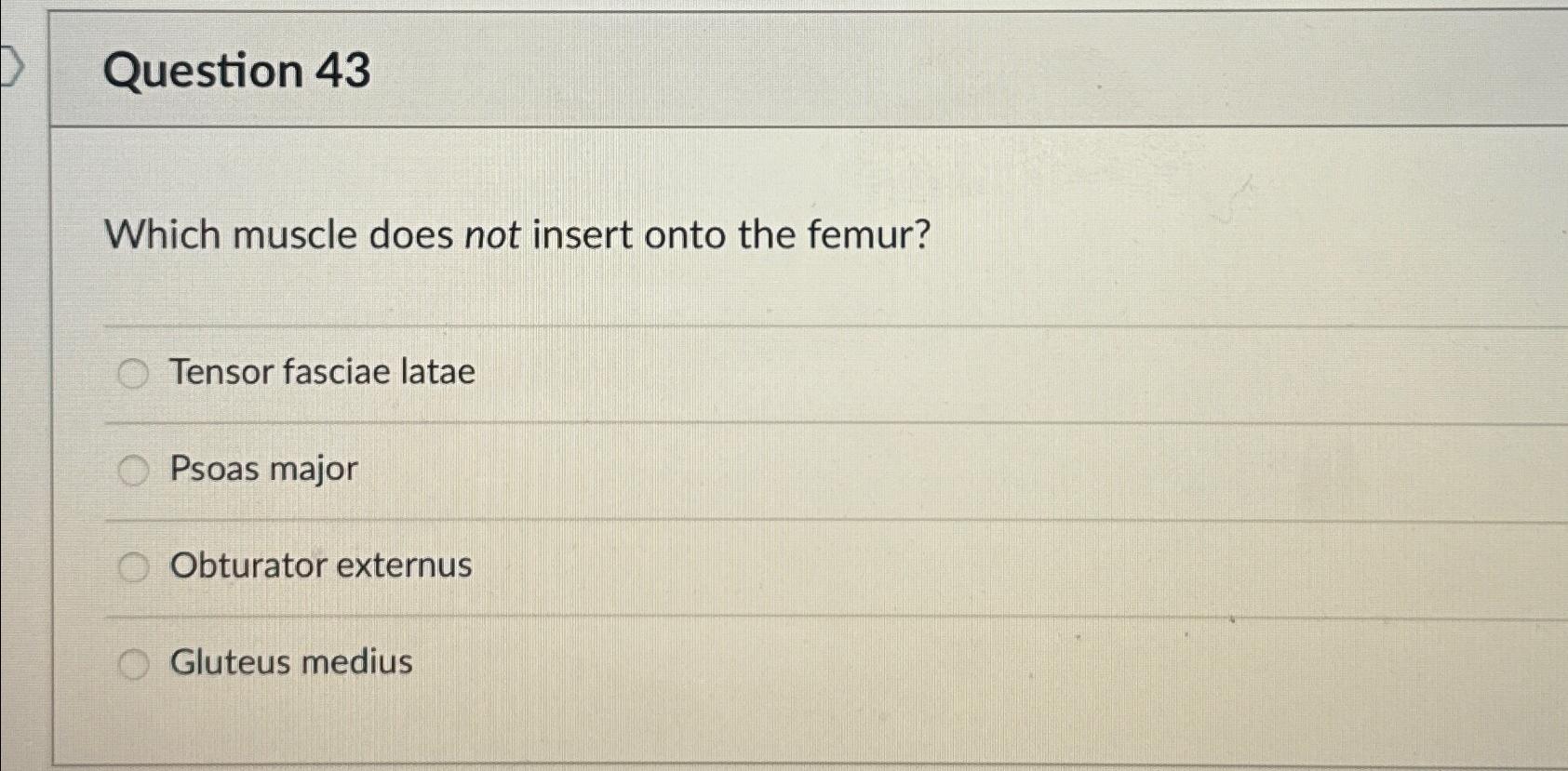 Solved Question 43Which muscle does not insert onto the | Chegg.com