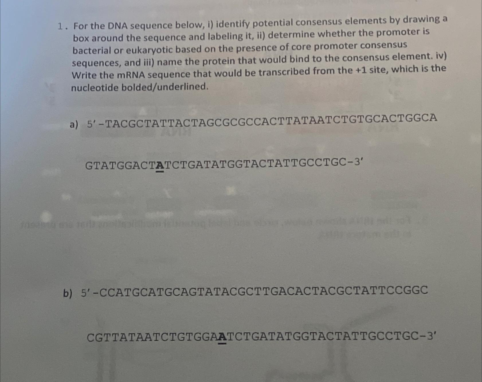 Solved For the DNA sequence below, i) ﻿identify potential | Chegg.com