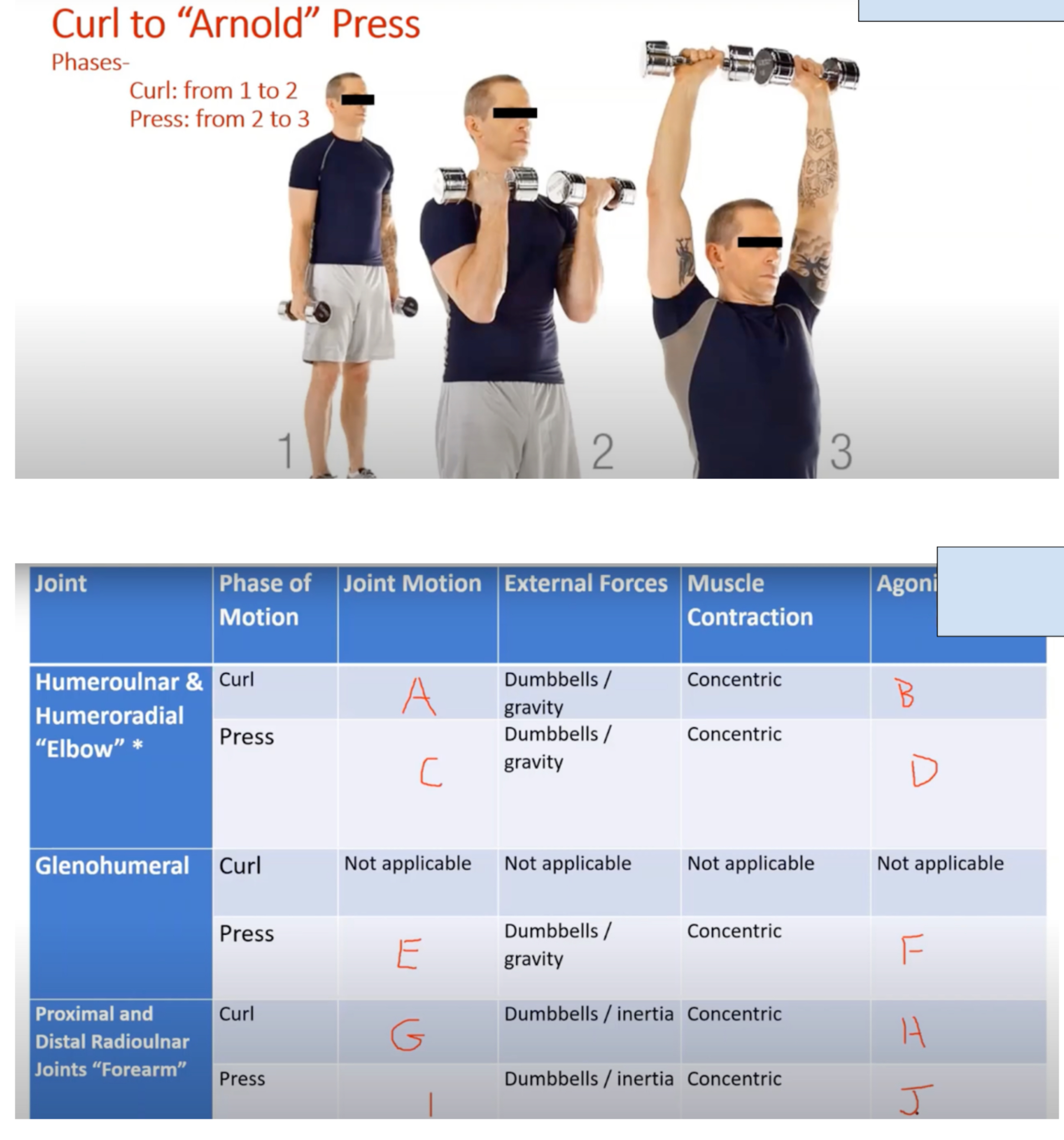 Solved \table[[Joint,\table[[Phase of],[Motion]],Joint | Chegg.com