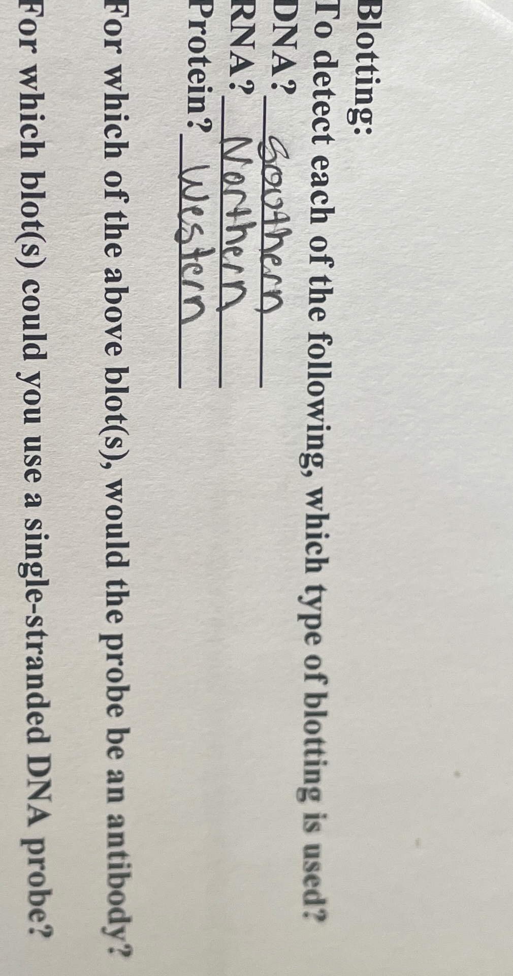 Solved Blotting:To detect each of the following, which type | Chegg.com