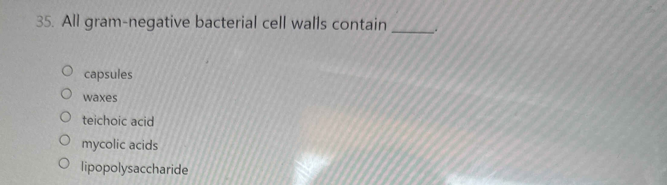 Solved All gram-negative bacterial cell walls | Chegg.com