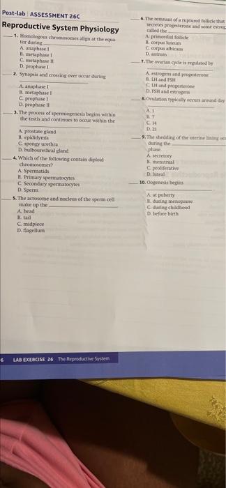 Solved Post-lab ASSESSMENT 26C Reproductive System | Chegg.com