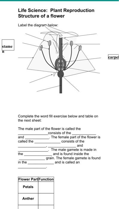 Solved Life Science: Plant Reproduction Structure of a | Chegg.com