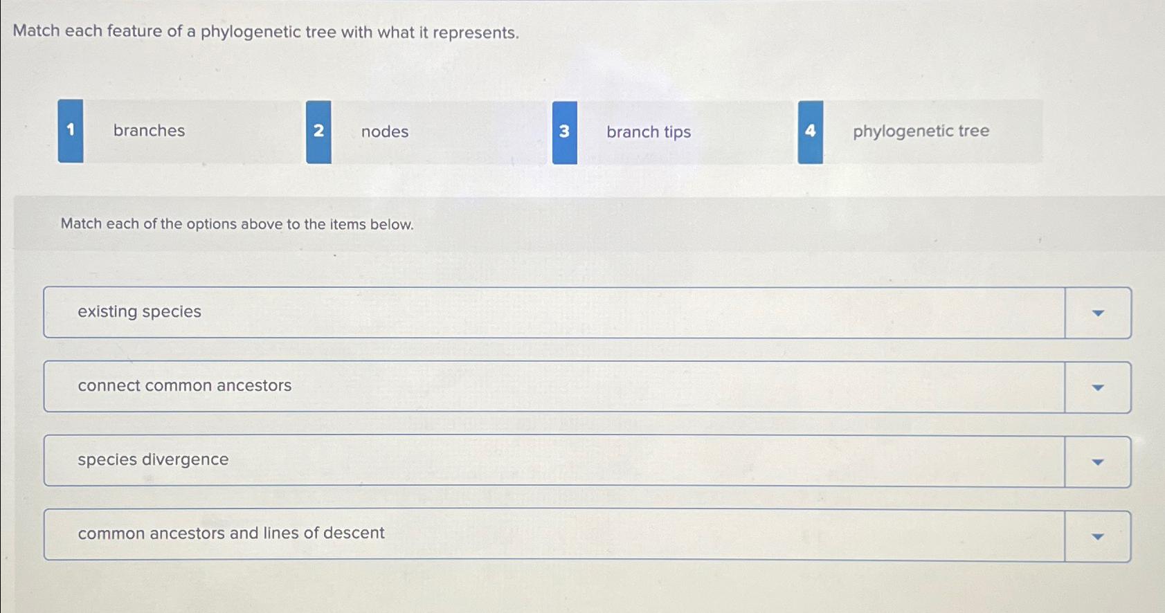 Solved Match each feature of a phylogenetic tree with what | Chegg.com