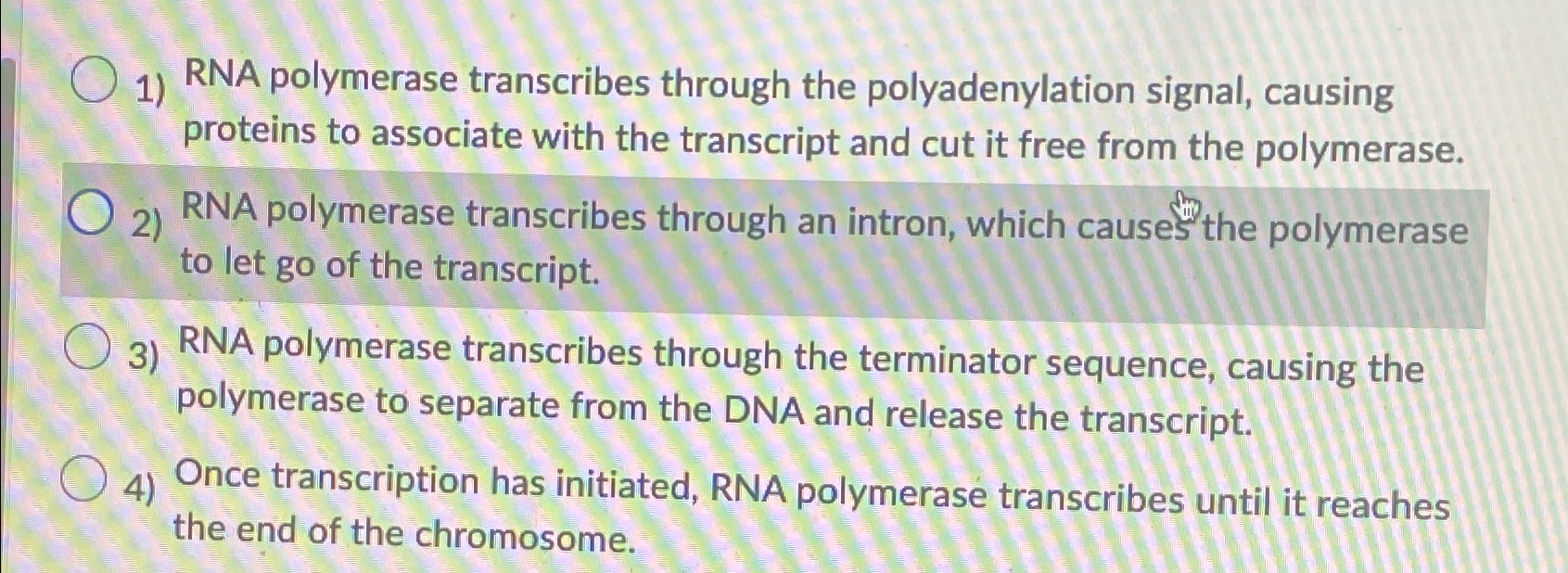 Solved RNA polymerase transcribes through the | Chegg.com