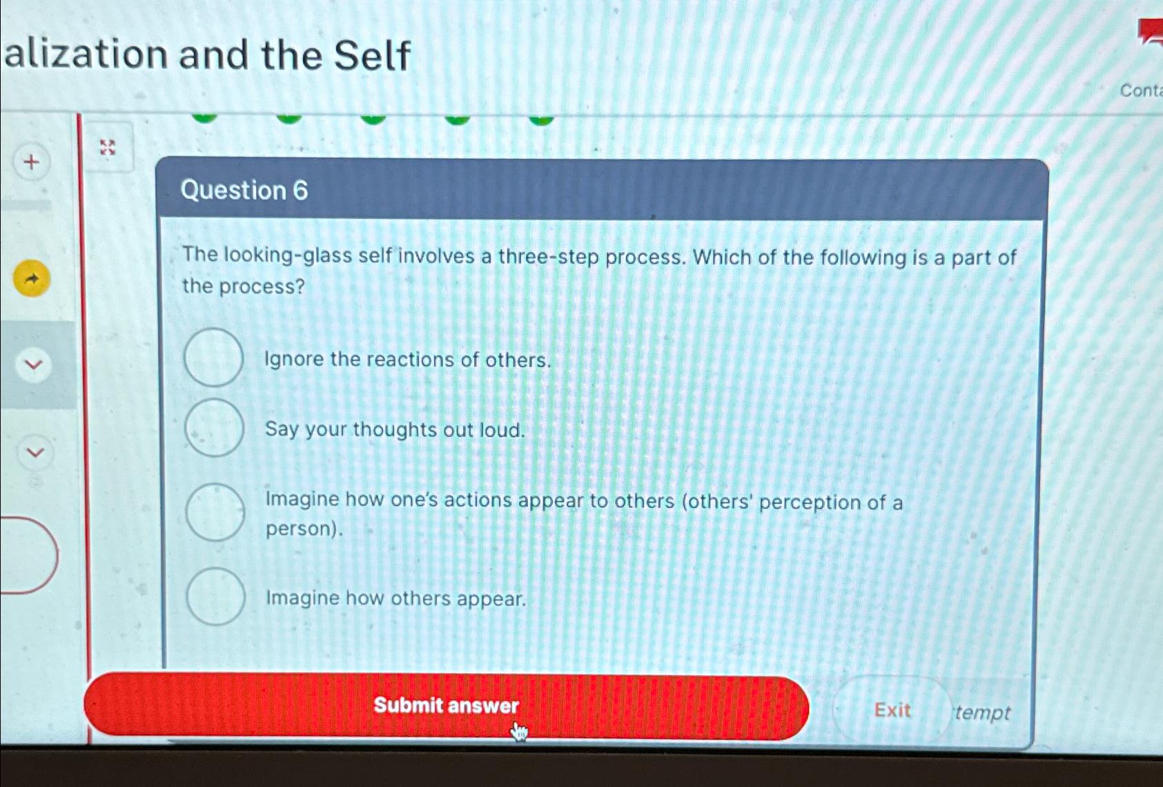 Solved alization and the SelfQuestion 6The looking-glass | Chegg.com