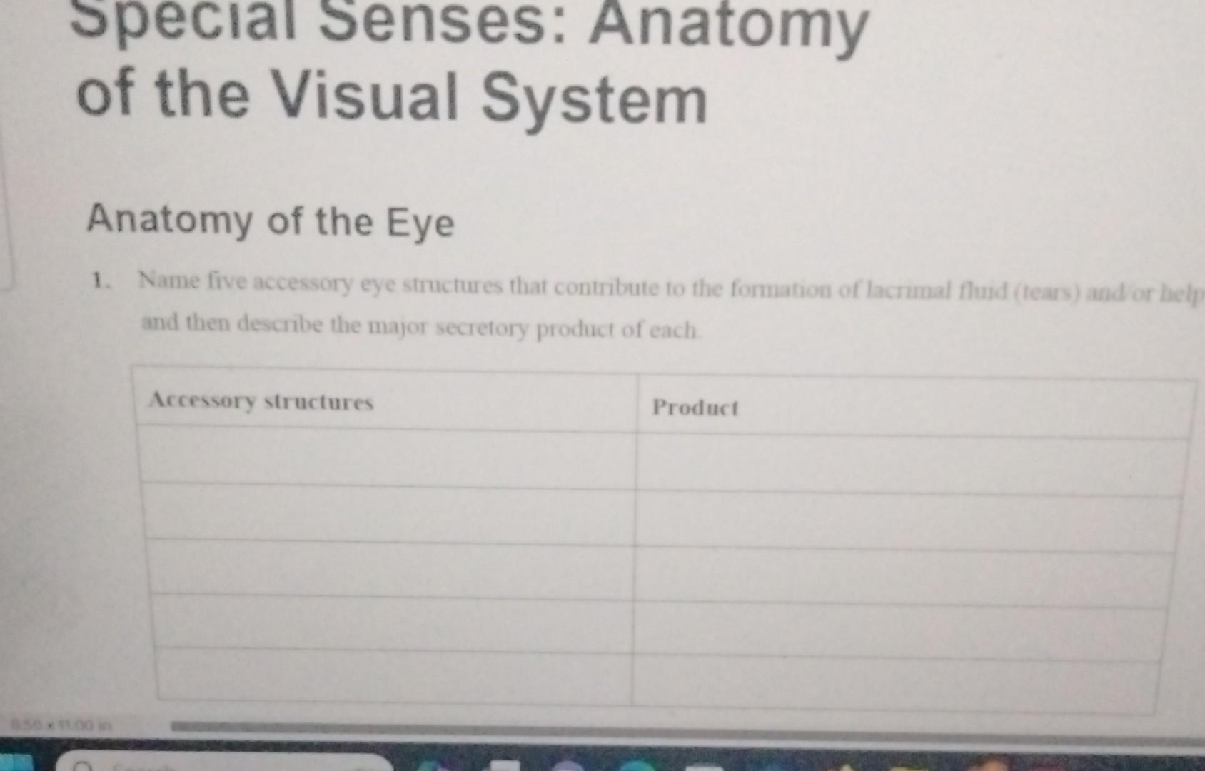 Solved Anatomy of the Eye 1. Name five accessory eye | Chegg.com