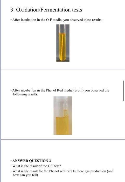 Solved 3. Oxidation/Fermentation tests • After incubation in | Chegg.com