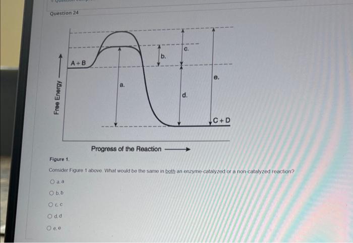 Solved Figure 1. Consider Figure 1 abovo. What would be the | Chegg.com