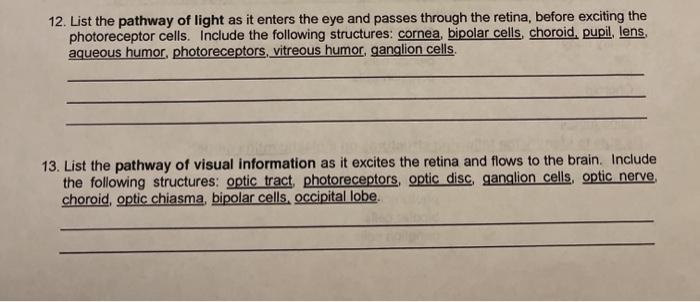 Solved 12. List the pathway of light as it enters the eye | Chegg.com